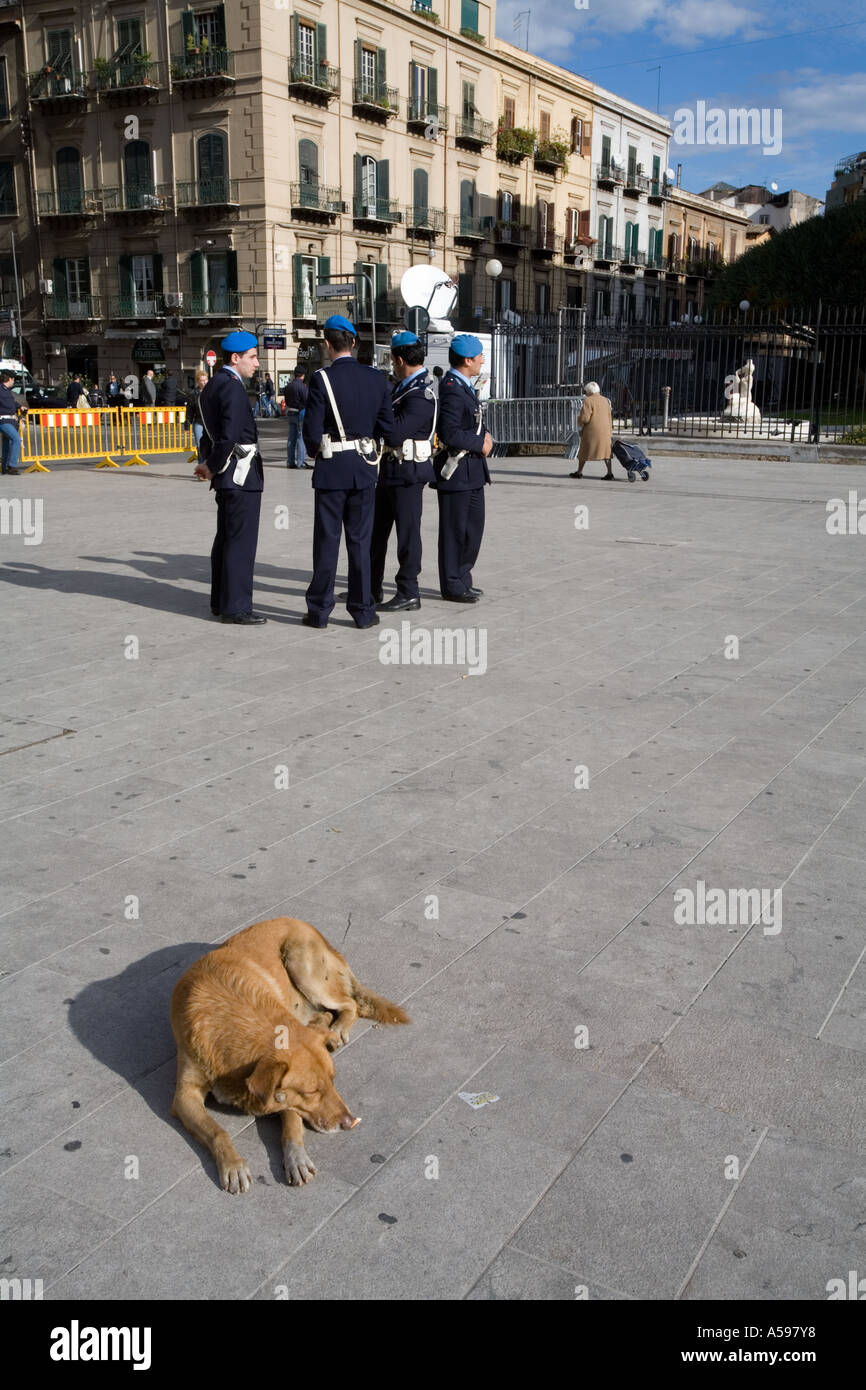 Dog sicily hi-res stock photography and images - Alamy