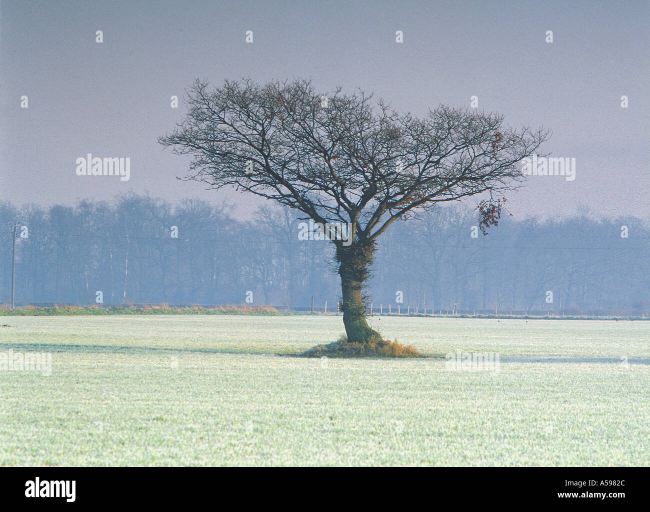 Ellingham village hi-res stock photography and images - Alamy