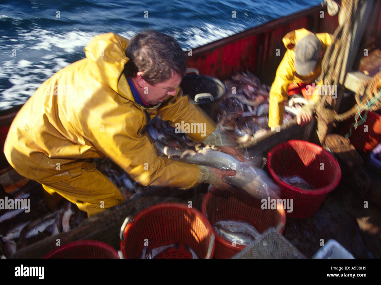 commercial fishermen on fishingboat uk Stock Photo - Alamy