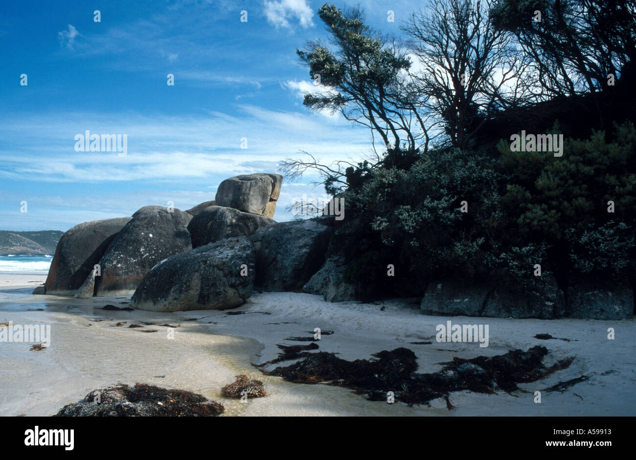 Landscape in Wilsons Promontory a national park in Australia Stock ...