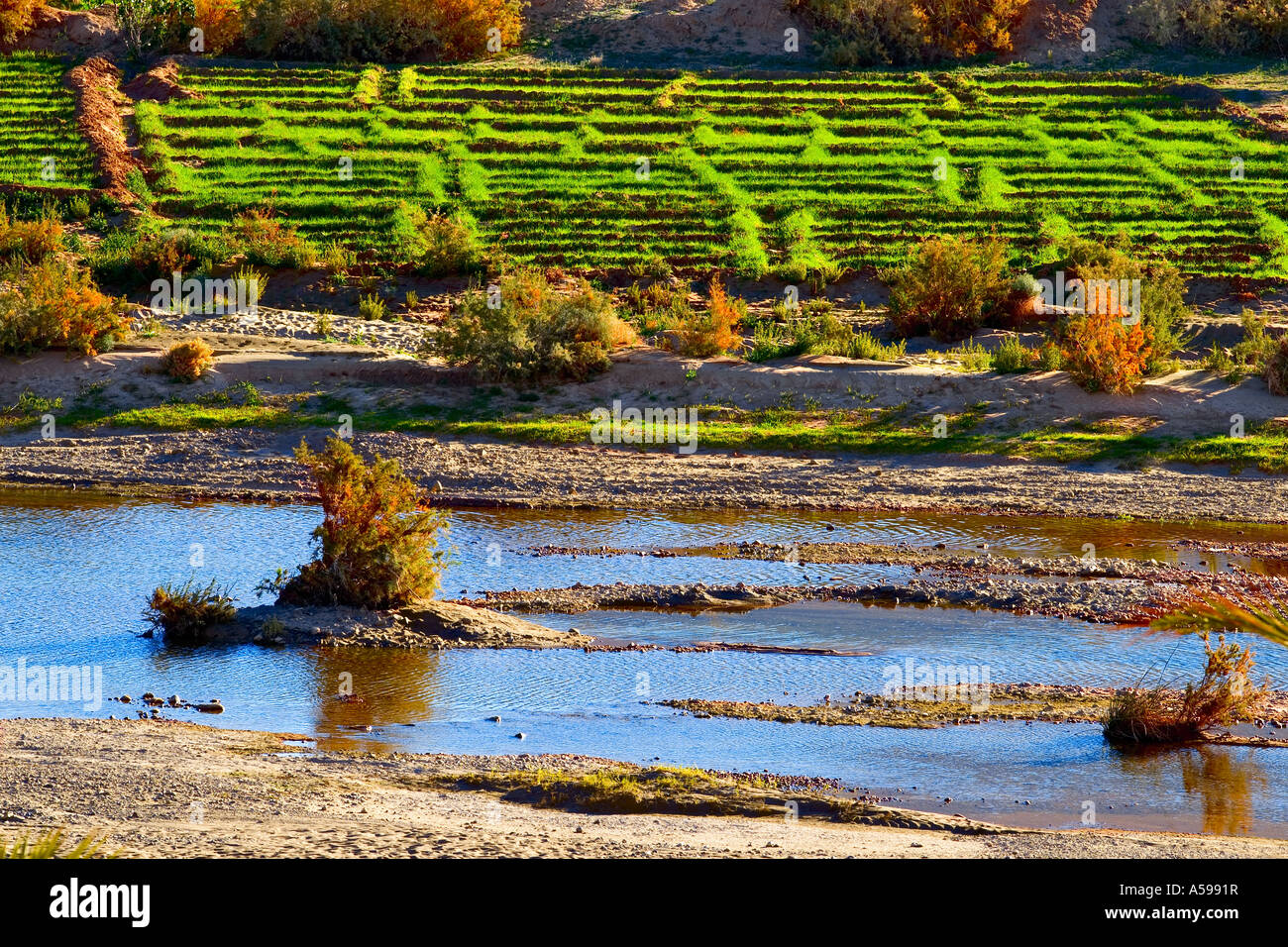 Draa river Morocco Stock Photo - Alamy