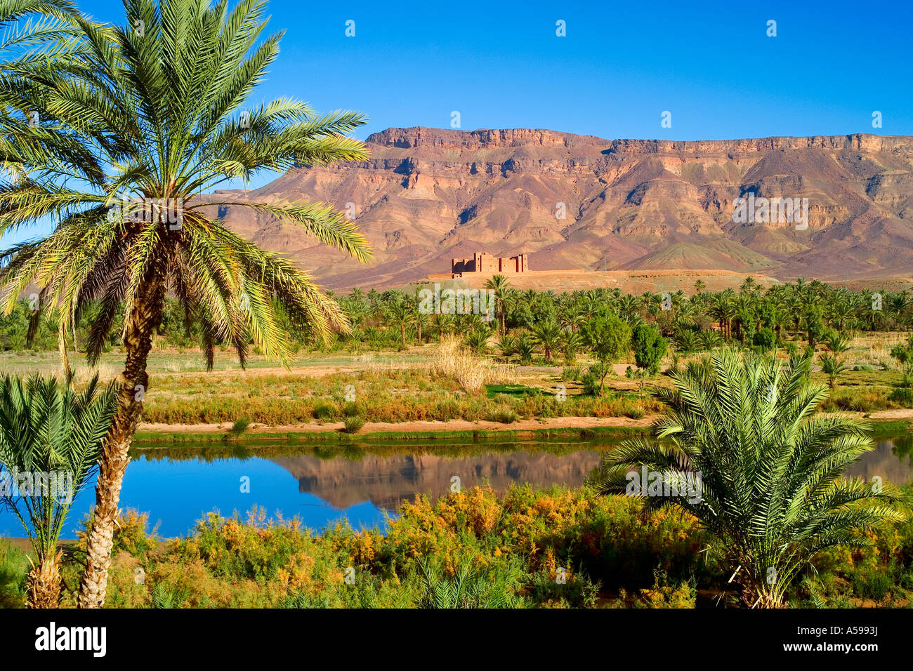 Kasbah at Tamnougalt near Agdz Draa valley Morocco Stock Photo - Alamy