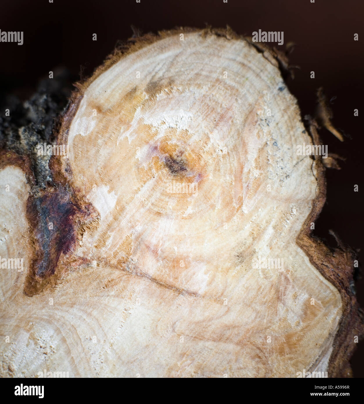 Patterns and textures cut pine wood Stock Photo - Alamy