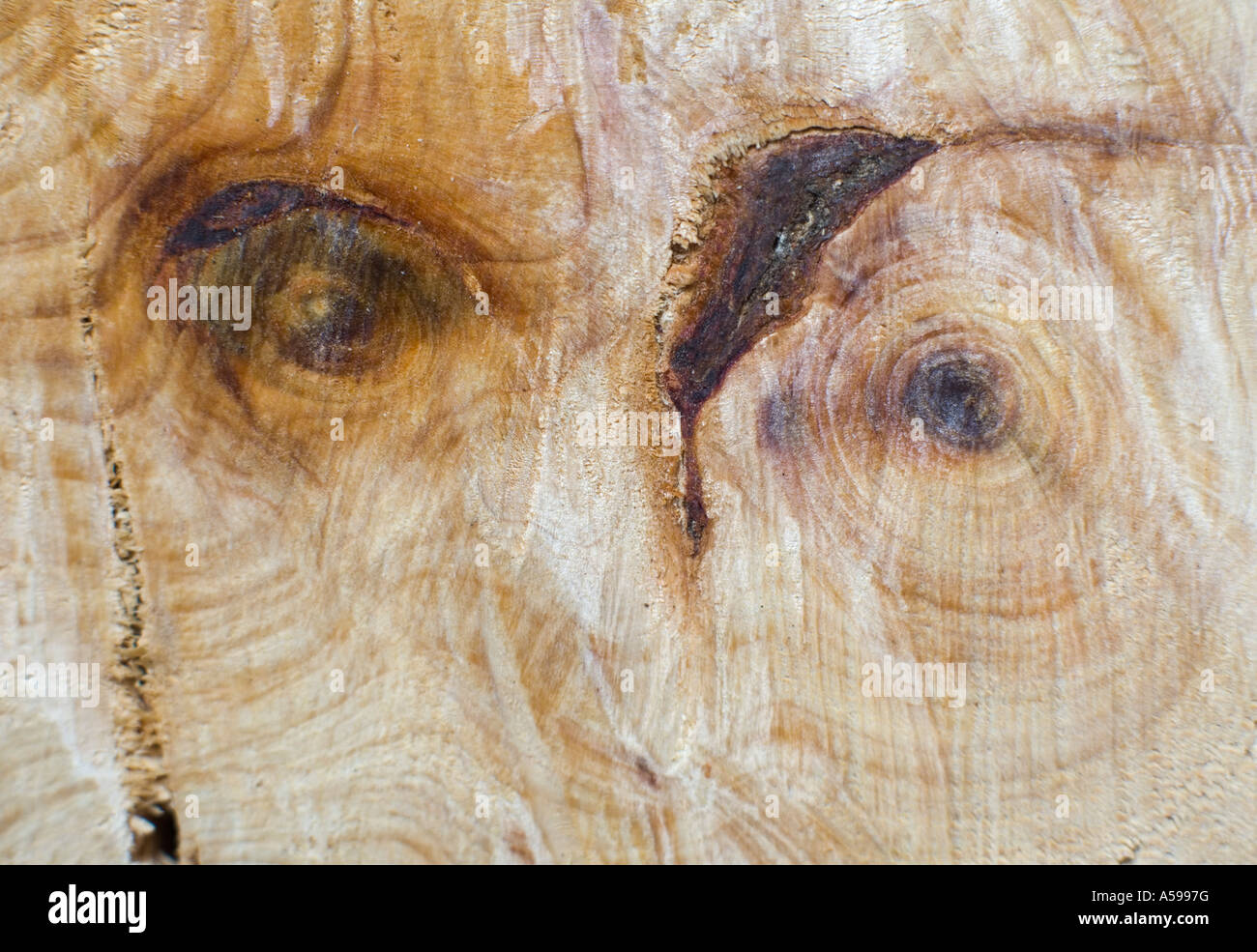 Patterns and textures cut pine wood Stock Photo - Alamy