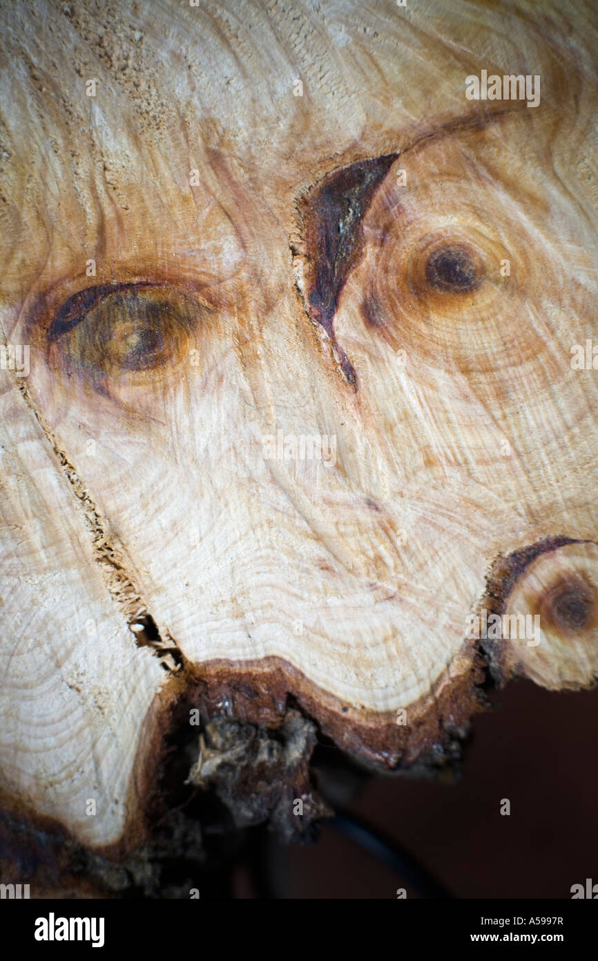 Patterns and textures cut pine wood Stock Photo - Alamy