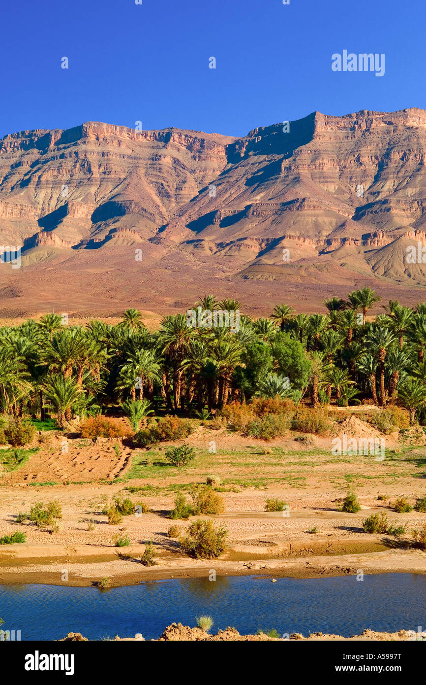 Oasis in Draa valley Morocco Stock Photo - Alamy