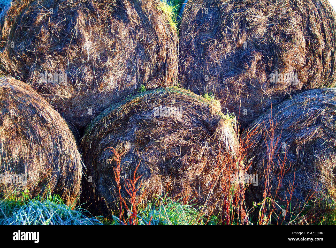 Circular bails hi-res stock photography and images - Alamy