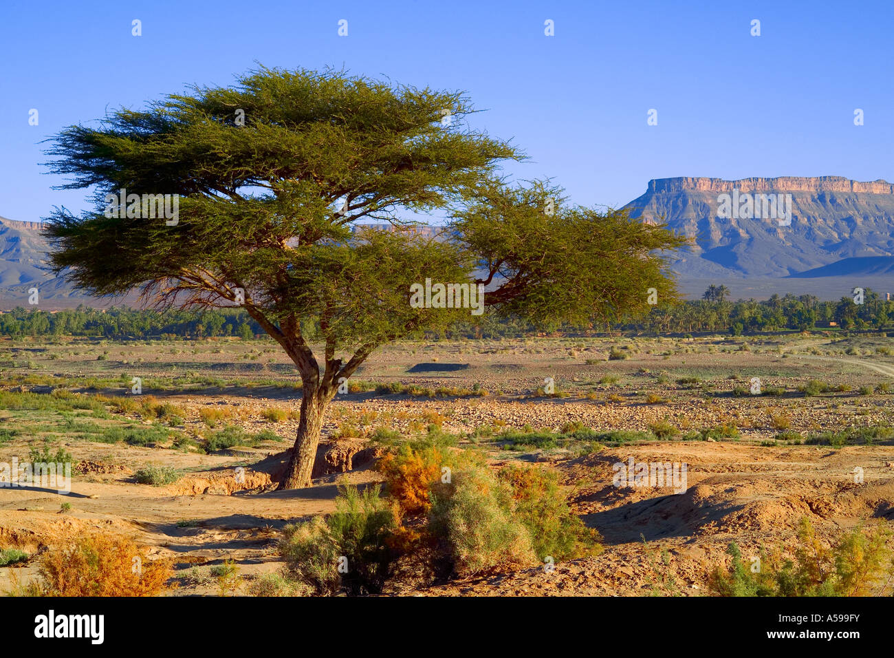 Draa valley Morocco Stock Photo - Alamy