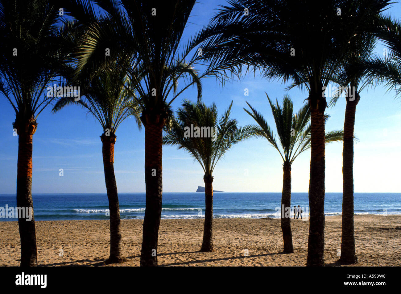 Spain Spanish Beach Sea Malaga Palm Tree Stock Photo - Alamy