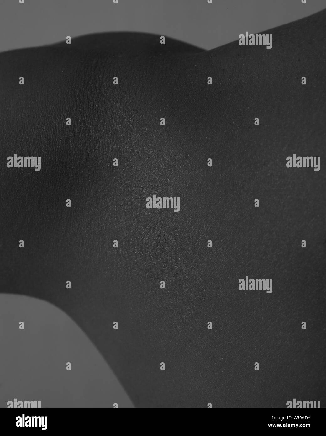 Female Shoulder, Black and White Stock Photo - Alamy