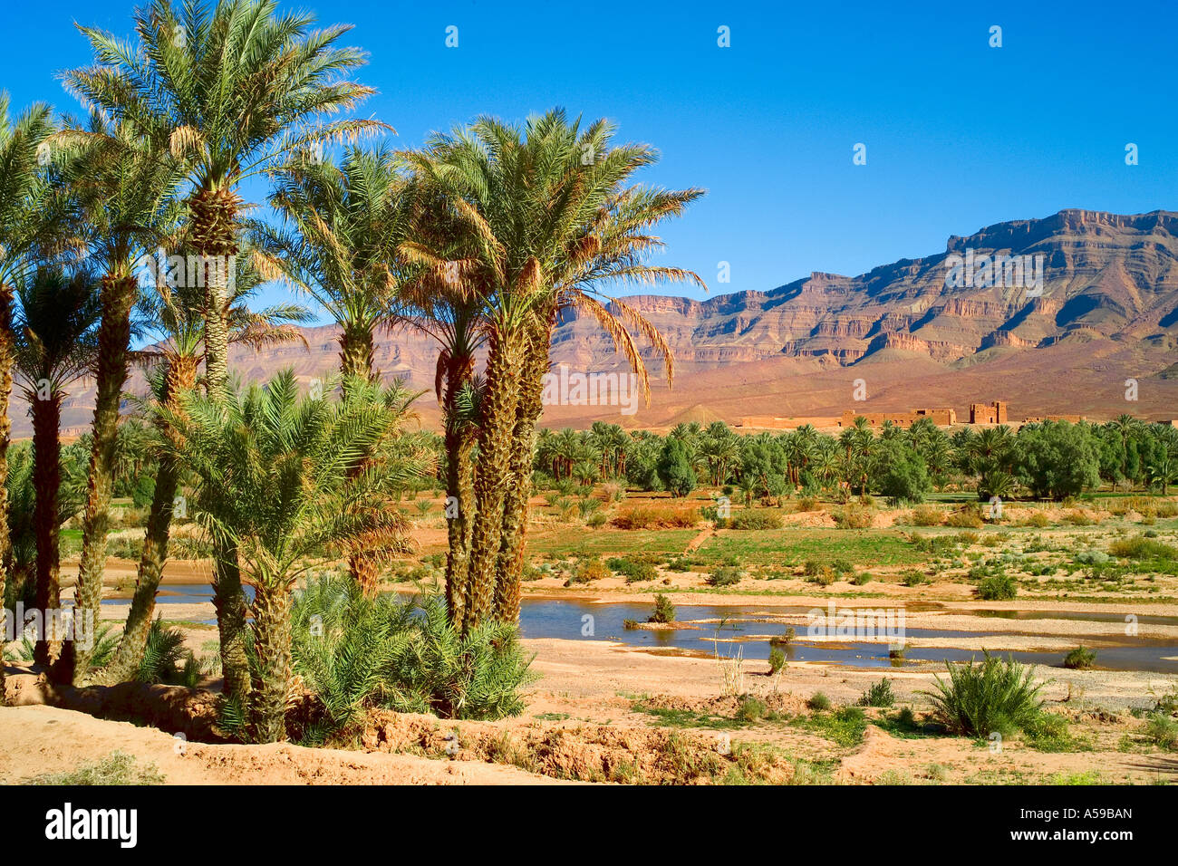 Draa valley Morocco Stock Photo - Alamy
