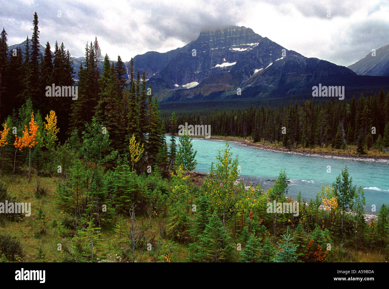 Athabasca River Alberta Canada Stock Photo - Alamy