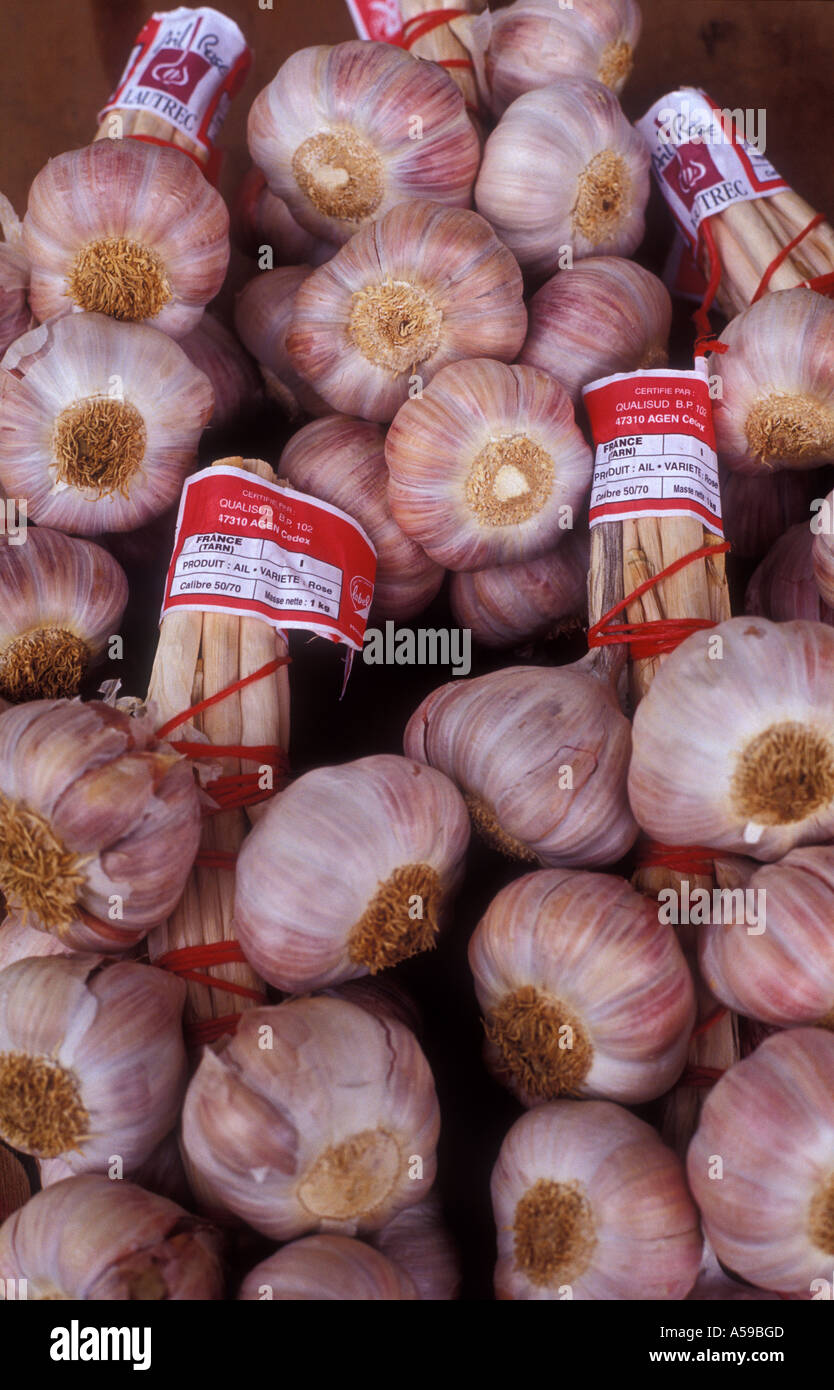 Garlic French Pink