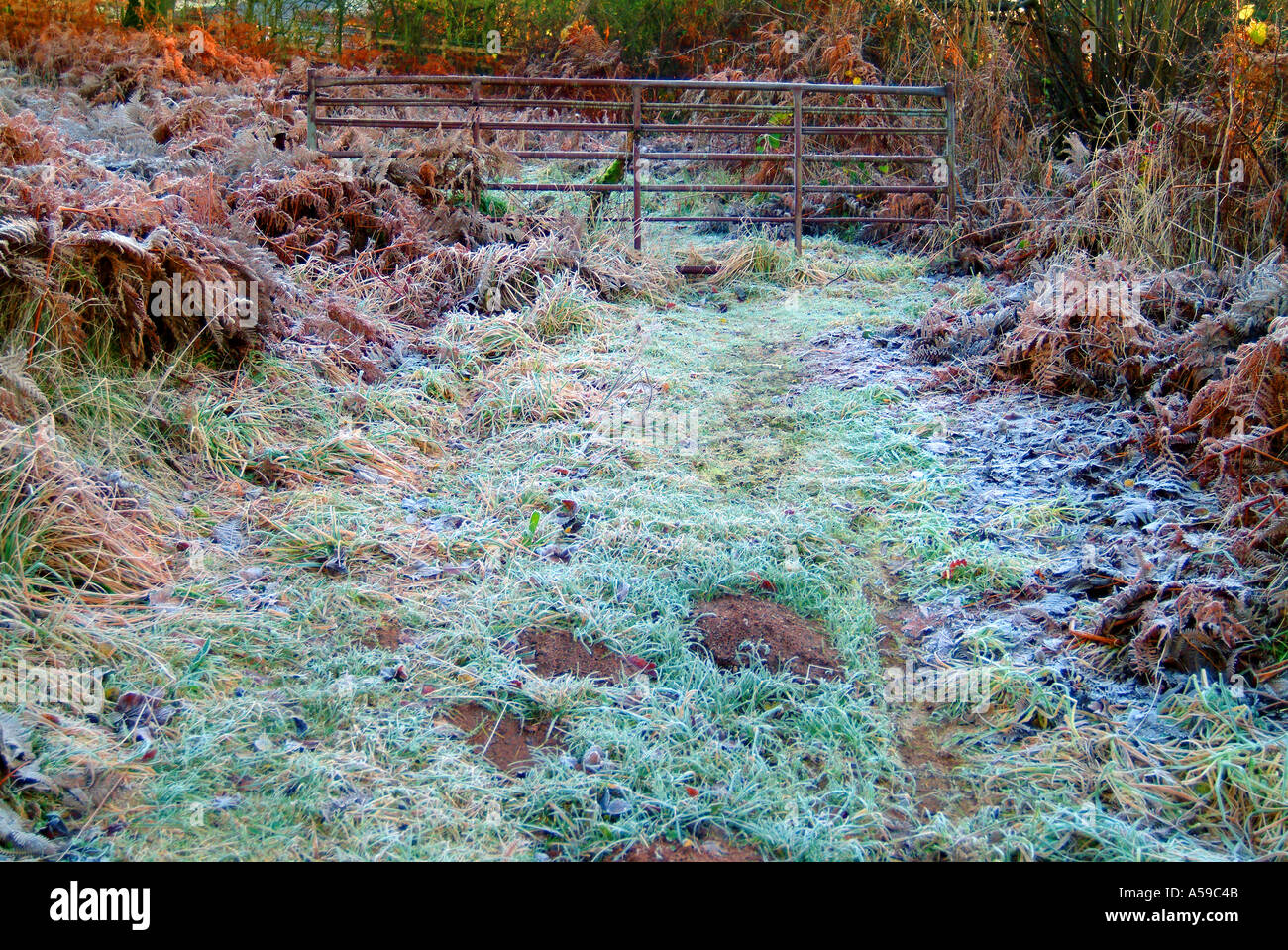 Faugh cumbria hi-res stock photography and images - Alamy
