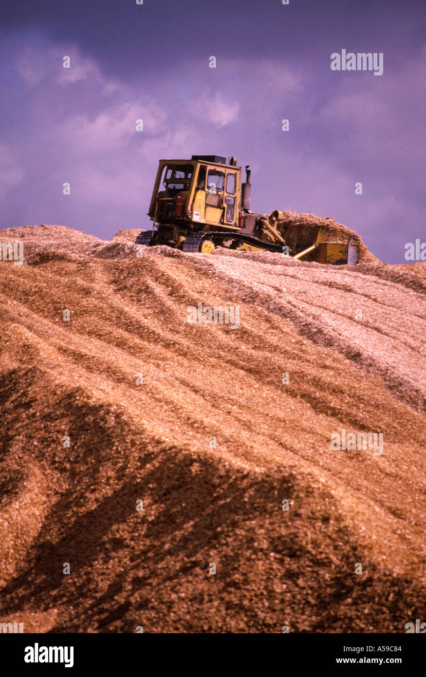 Wood pulp mill hi-res stock photography and images - Alamy