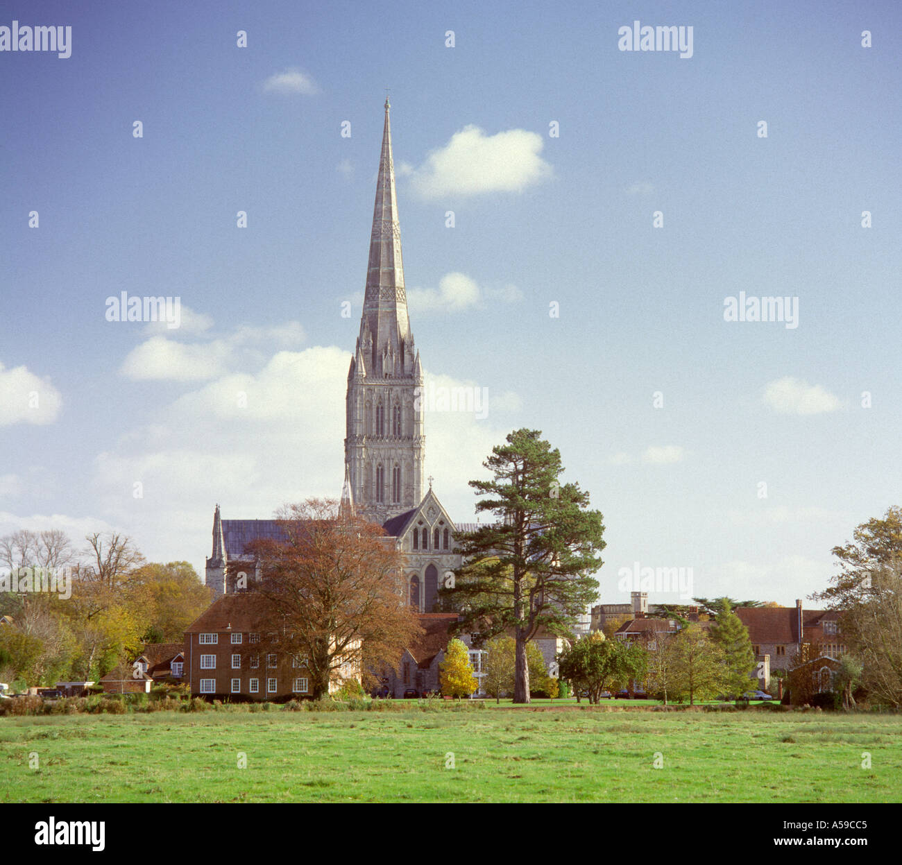 Salisbury Cathedral from the water meadows in autumn Stock Photo - Alamy