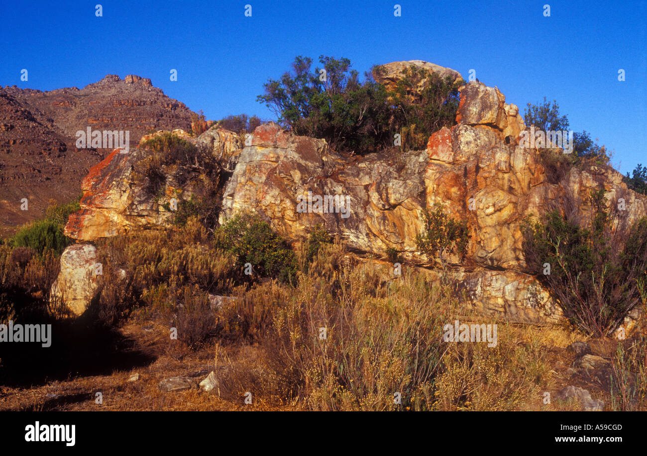 Red cederberg hi-res stock photography and images - Alamy