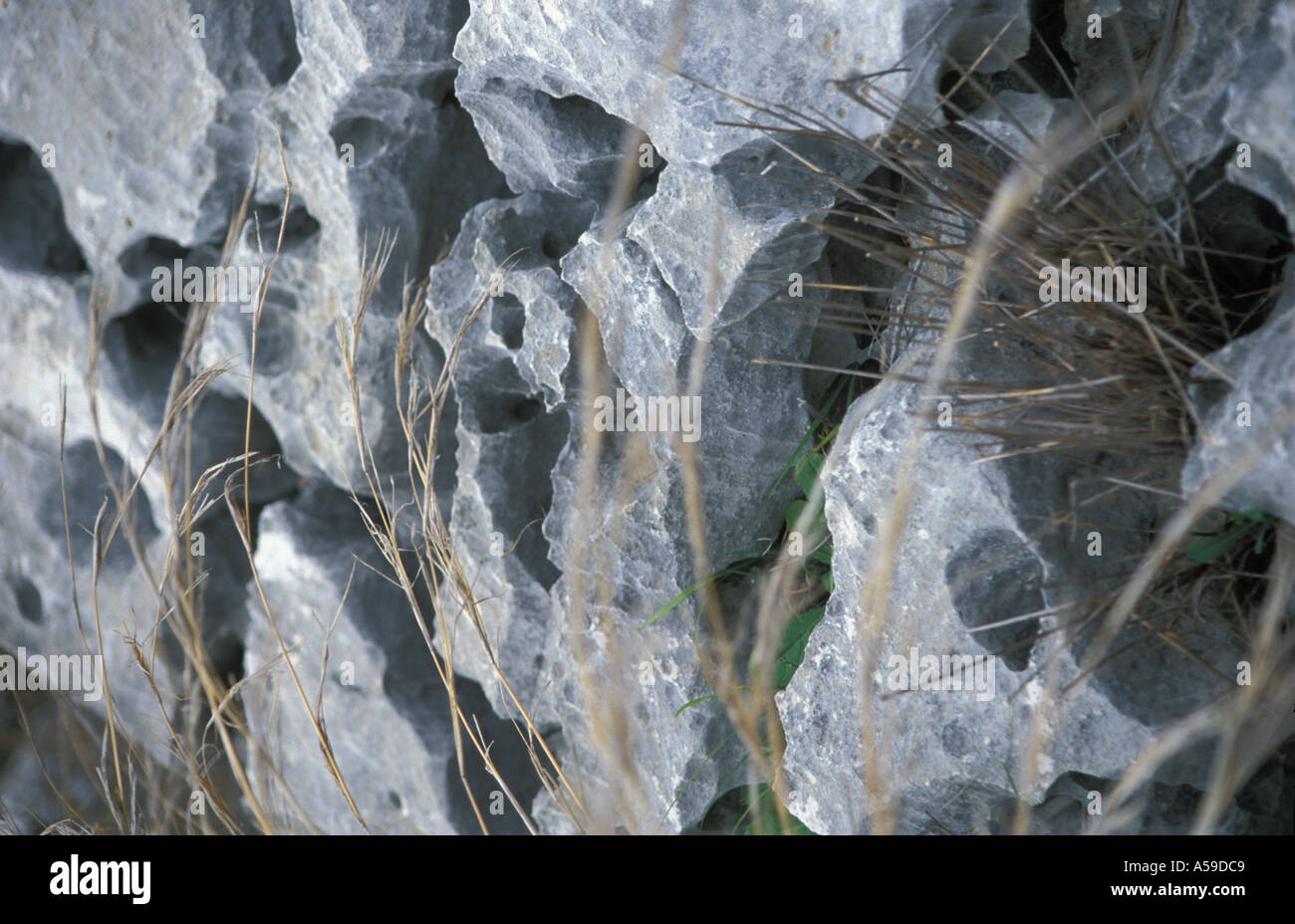 special mineral stone Stock Photo - Alamy