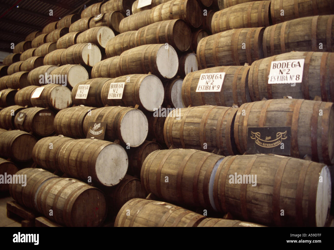 tequila in oak barrels tequila salsa in tequila mexico Stock Photo - Alamy