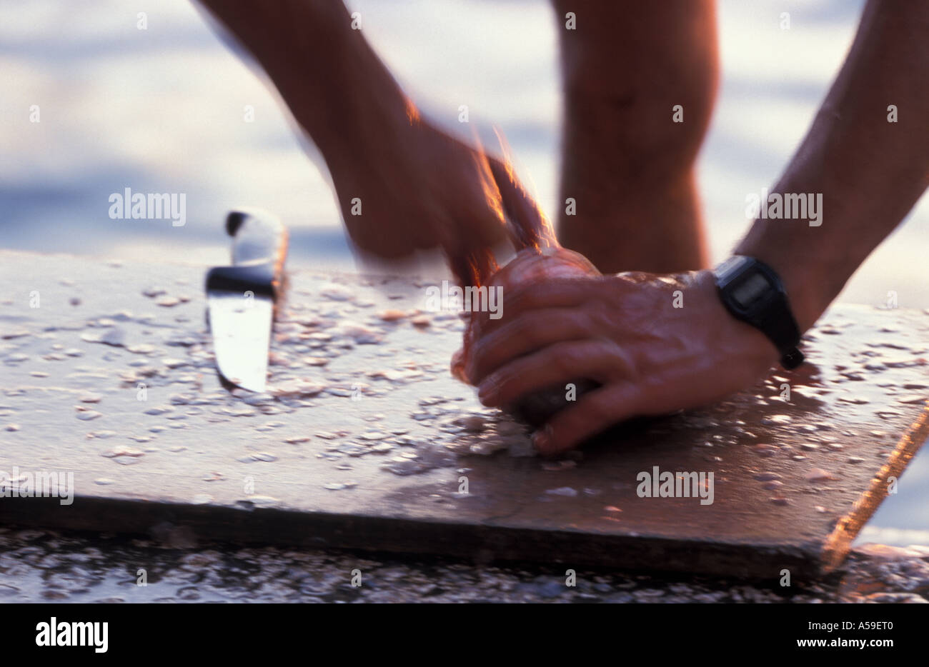 Gutting the Fish Stock Photo - Alamy