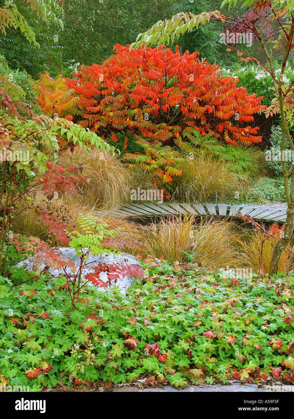 Autumn Garden View Broadview gardens Kent Stock Photo - Alamy