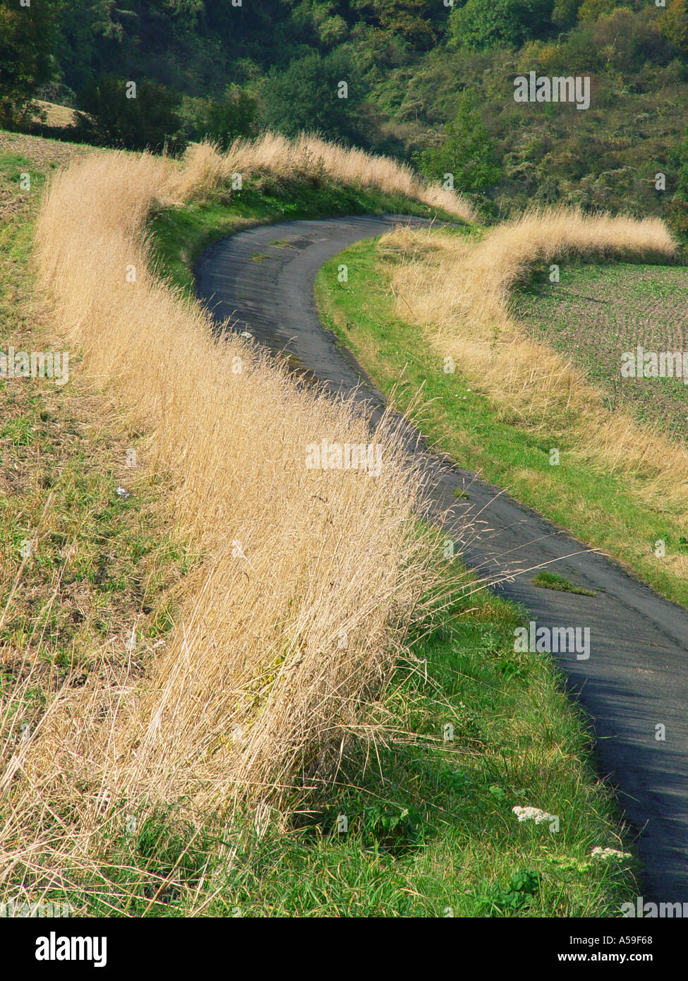 Rural kent hi-res stock photography and images - Alamy