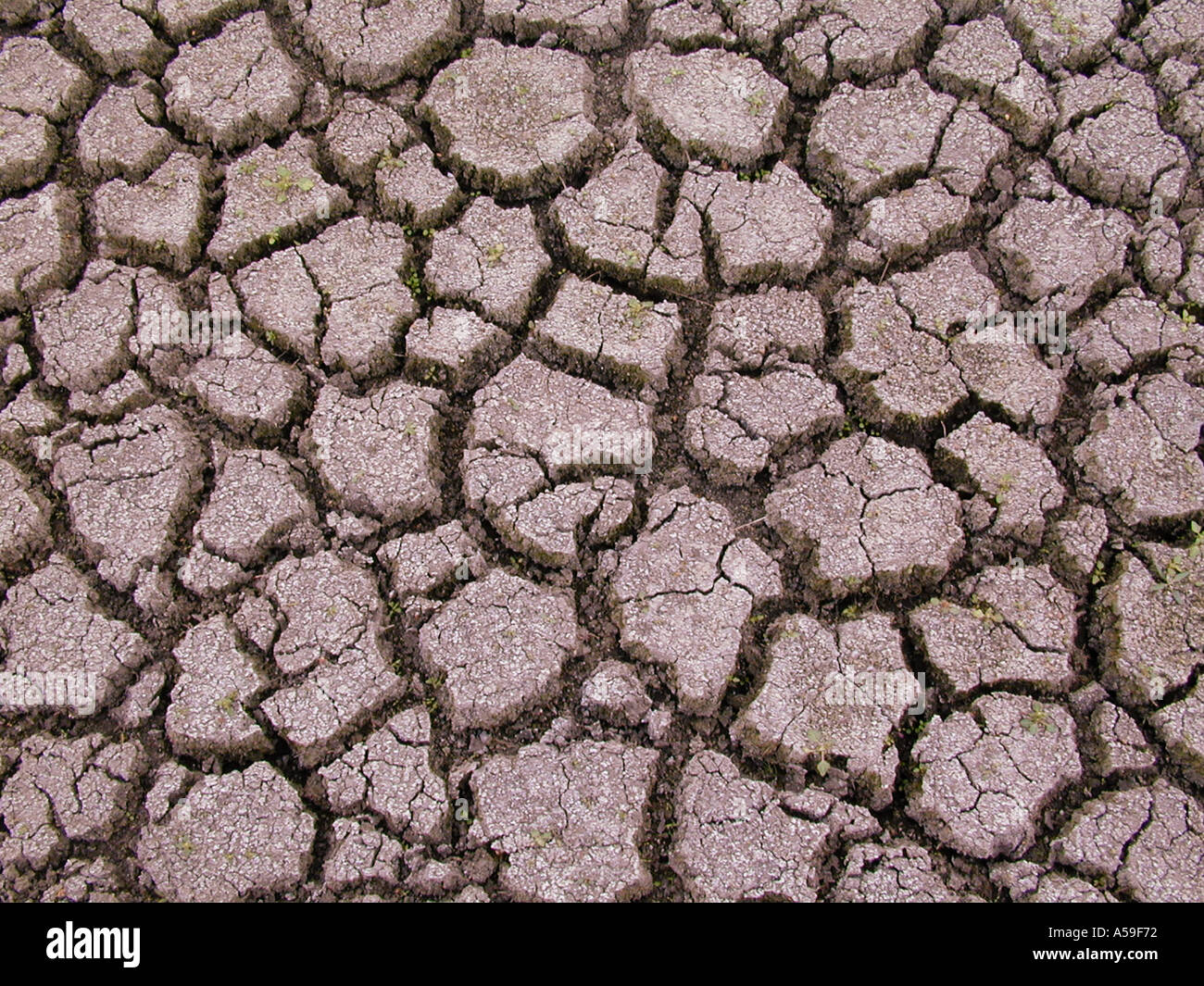 dried mud on riverbed Stock Photo - Alamy