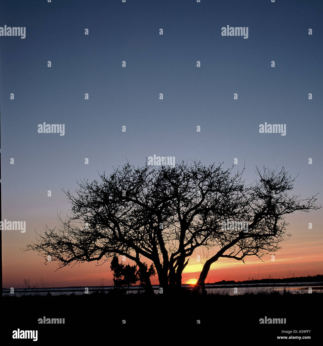 Virtsu hi-res stock photography and images - Alamy