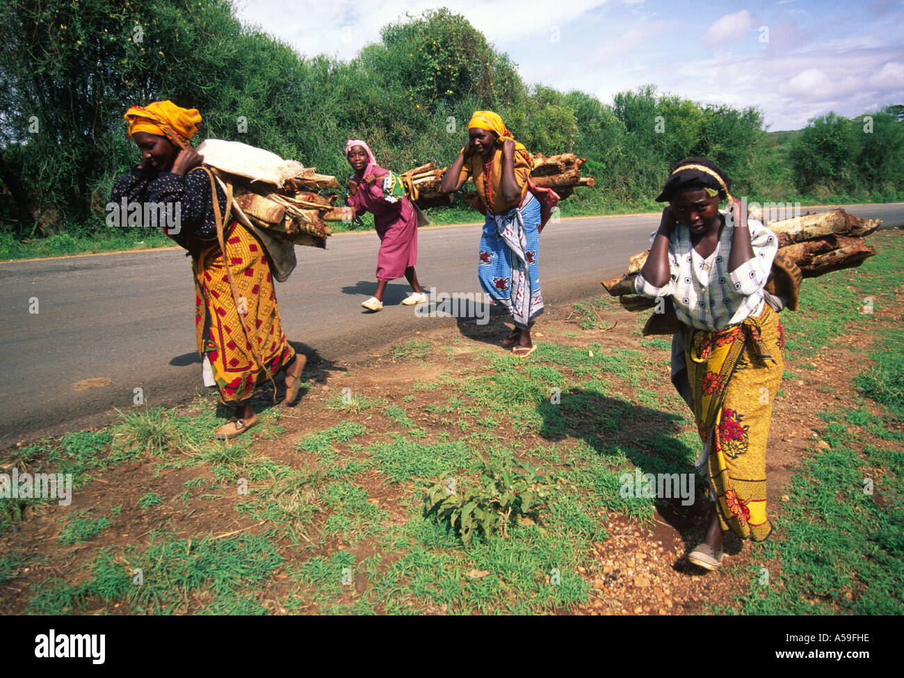 african women carrying firewood kenya Stock Photo - Alamy