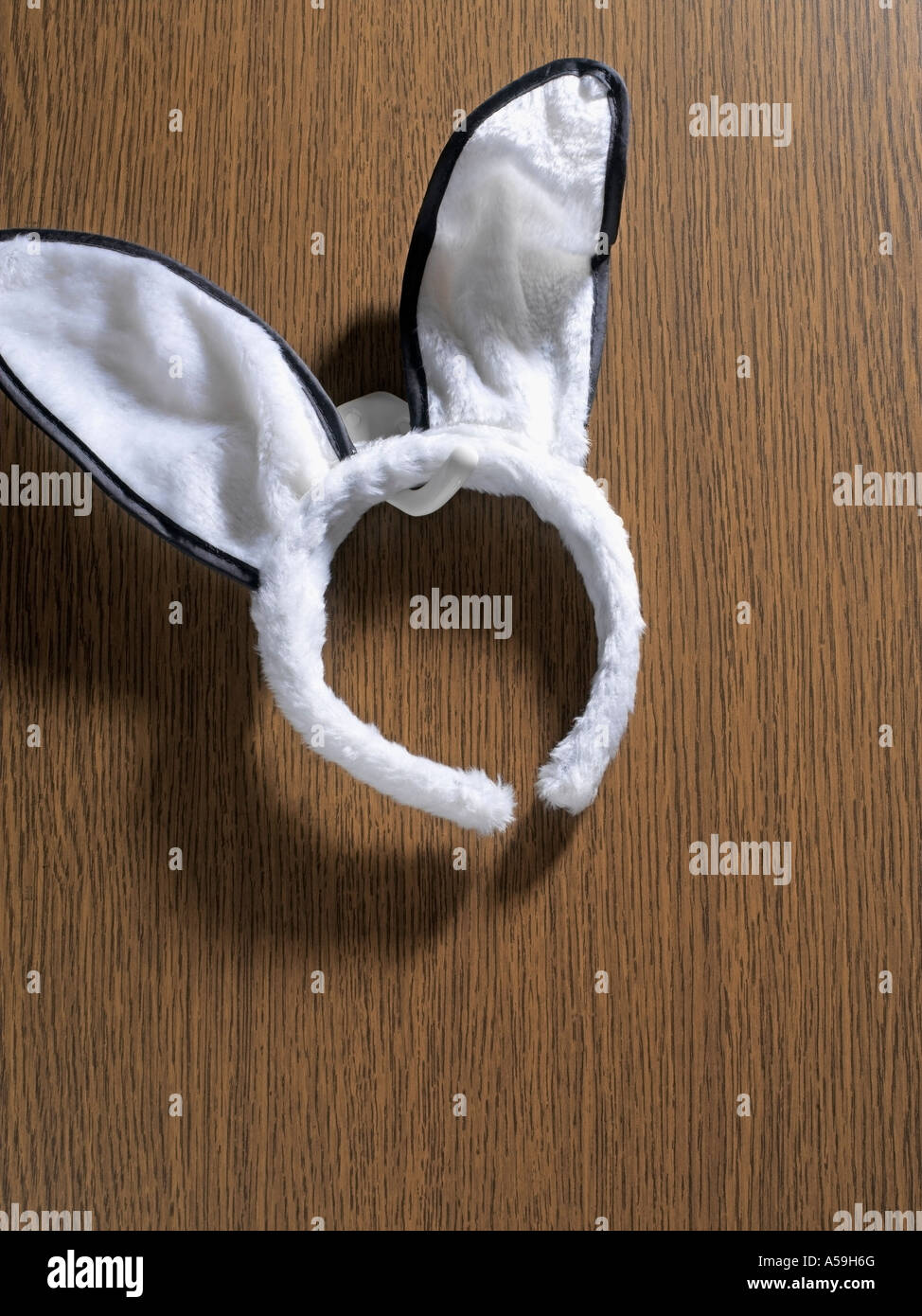 Rabbit Without Ears High Resolution Stock Photography and Images - Alamy