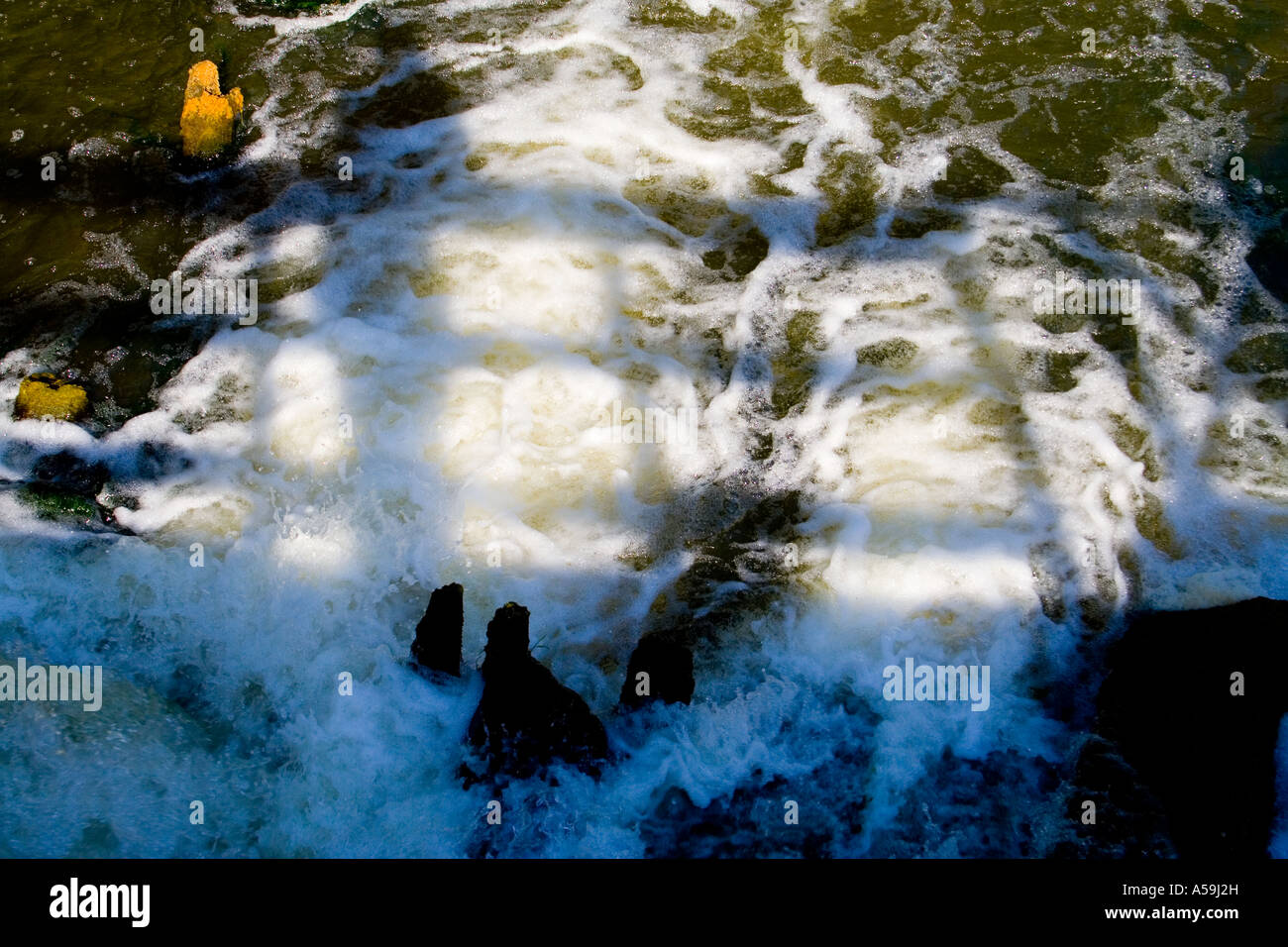 Moletai, lithuania hi-res stock photography and images - Alamy