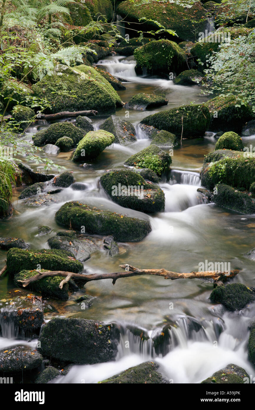 Moss covered rocks in gently flowing stream Stock Photo - Alamy