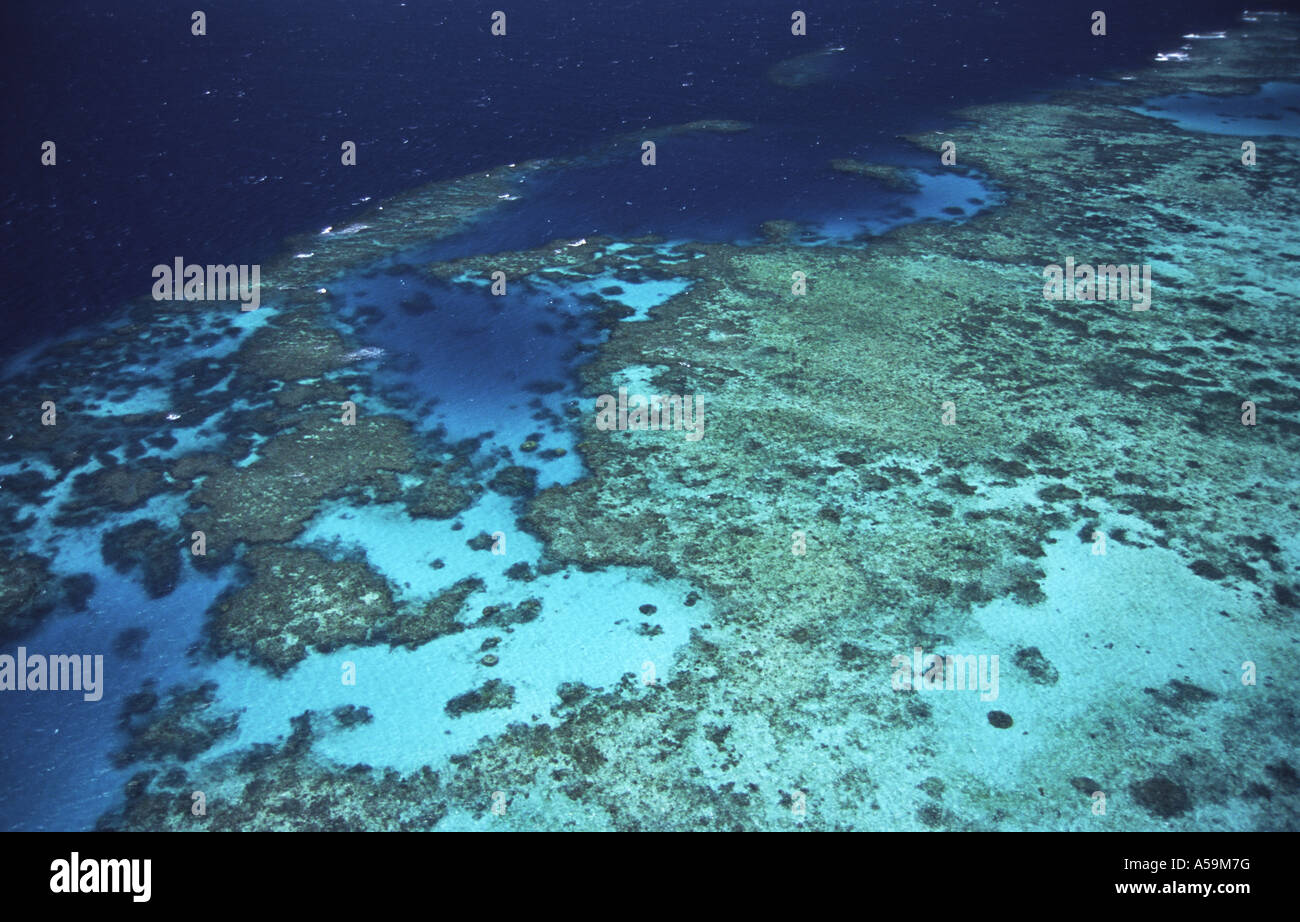 Great Barrier Reef, Queensland, Australia Stock Photo - Alamy
