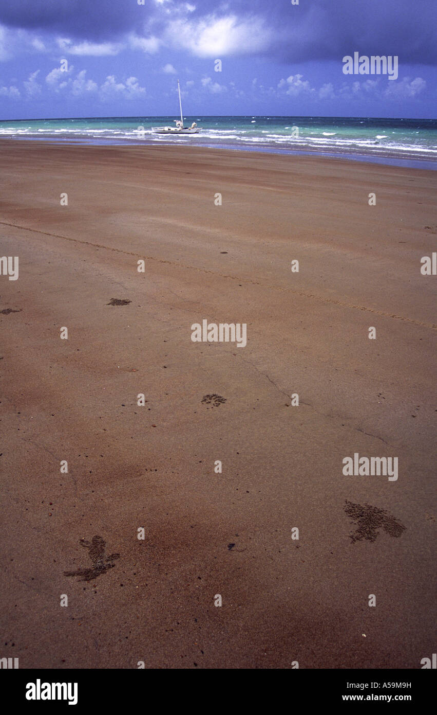 Cow bay daintree hi-res stock photography and images - Alamy