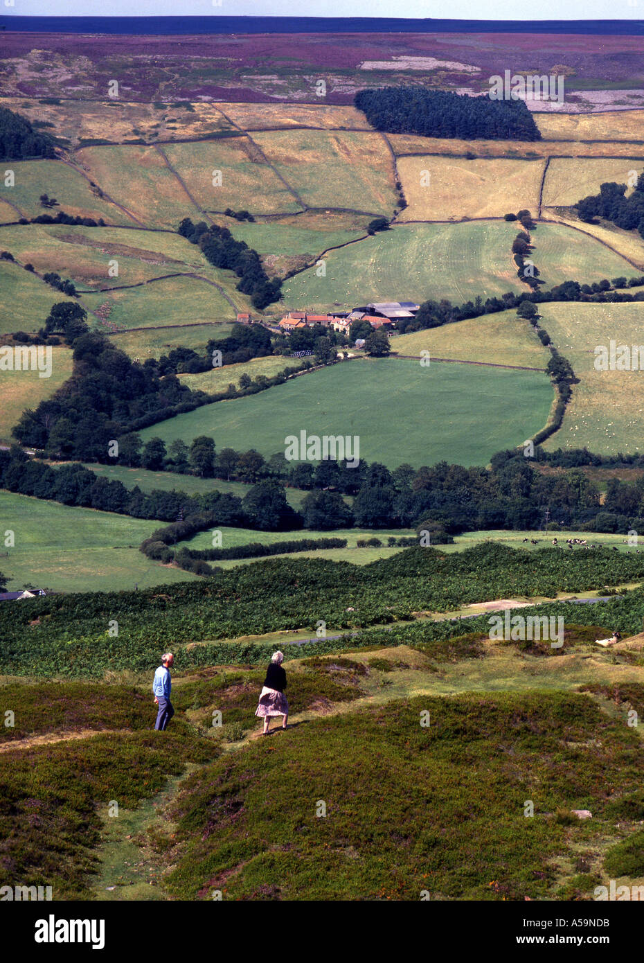 Farms and farming in the North Yorkshire Moors Stock Photo - Alamy