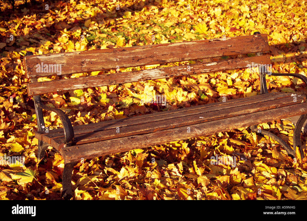 Park Bench surrounded by Autumn leaves, Budapest, Hungary Stock Photo ...