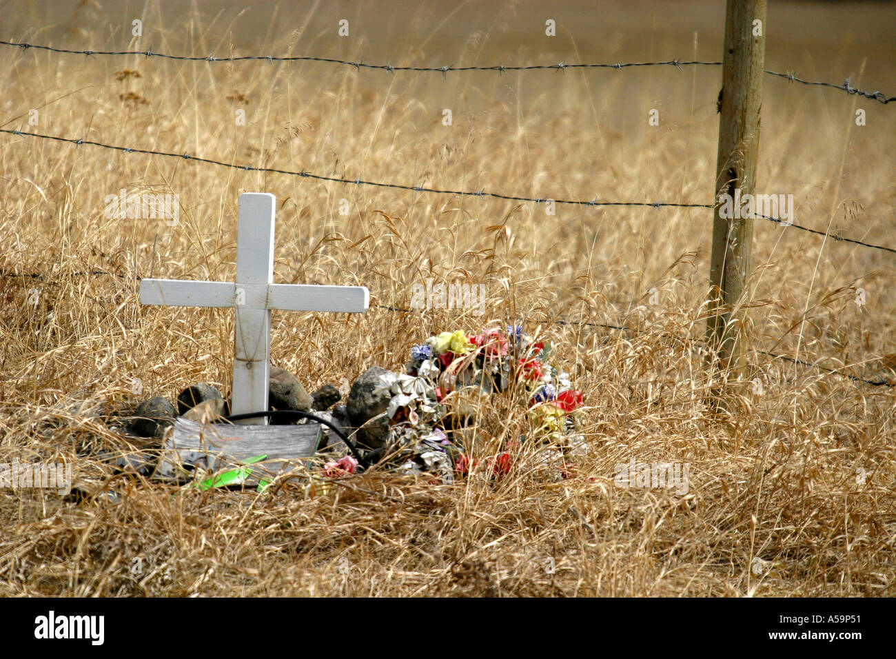 Roadside memorial cross flower hi-res stock photography and images - Alamy
