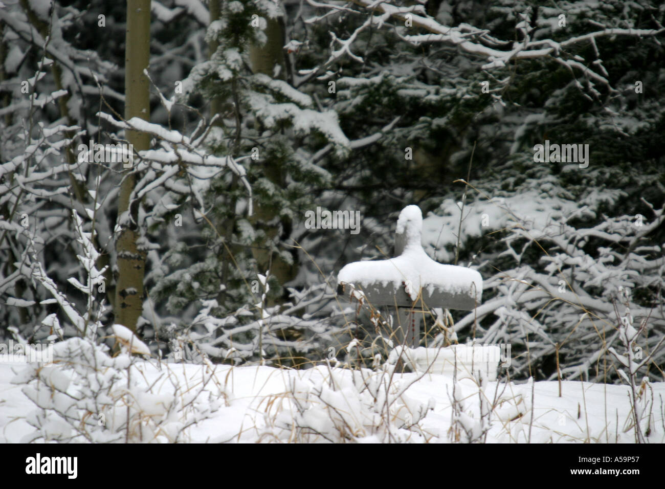 Roadside memorial cross flower hi-res stock photography and images - Alamy