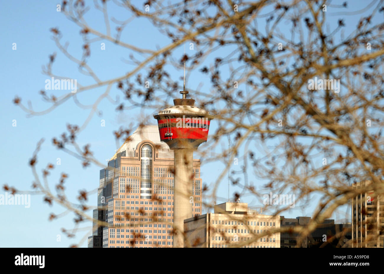 CITY OF CALGARY Calgary Tower Alberta Canada Stock Photo - Alamy