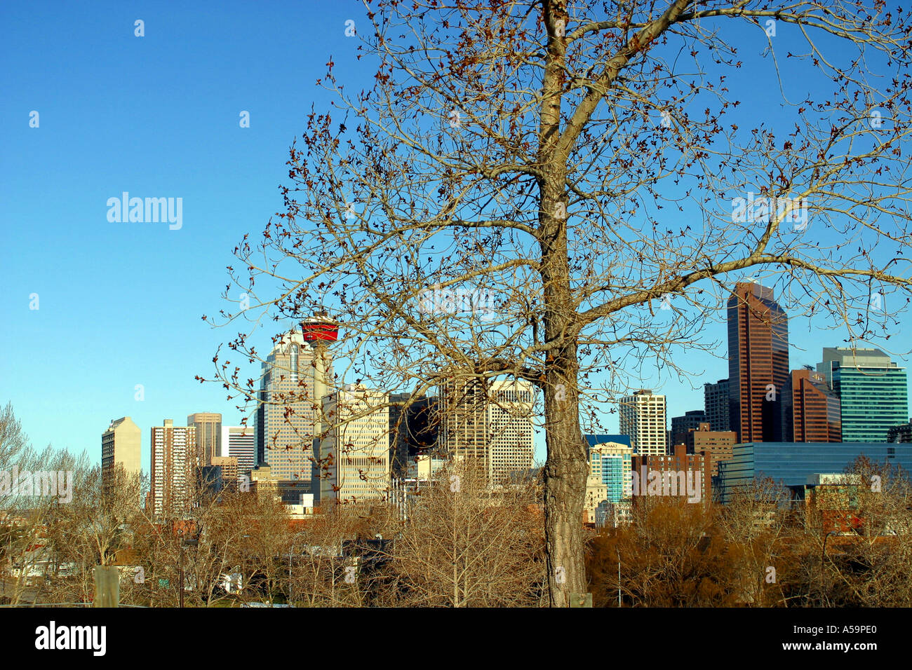 CITY OF CALGARY Calgary Tower Alberta Canada Stock Photo - Alamy