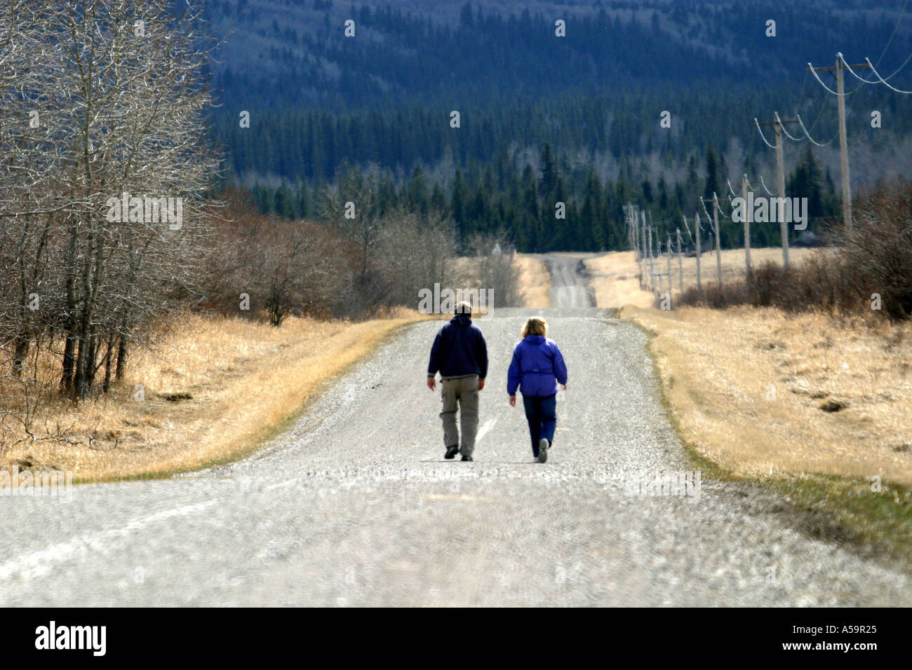 Meddle family hi-res stock photography and images - Alamy