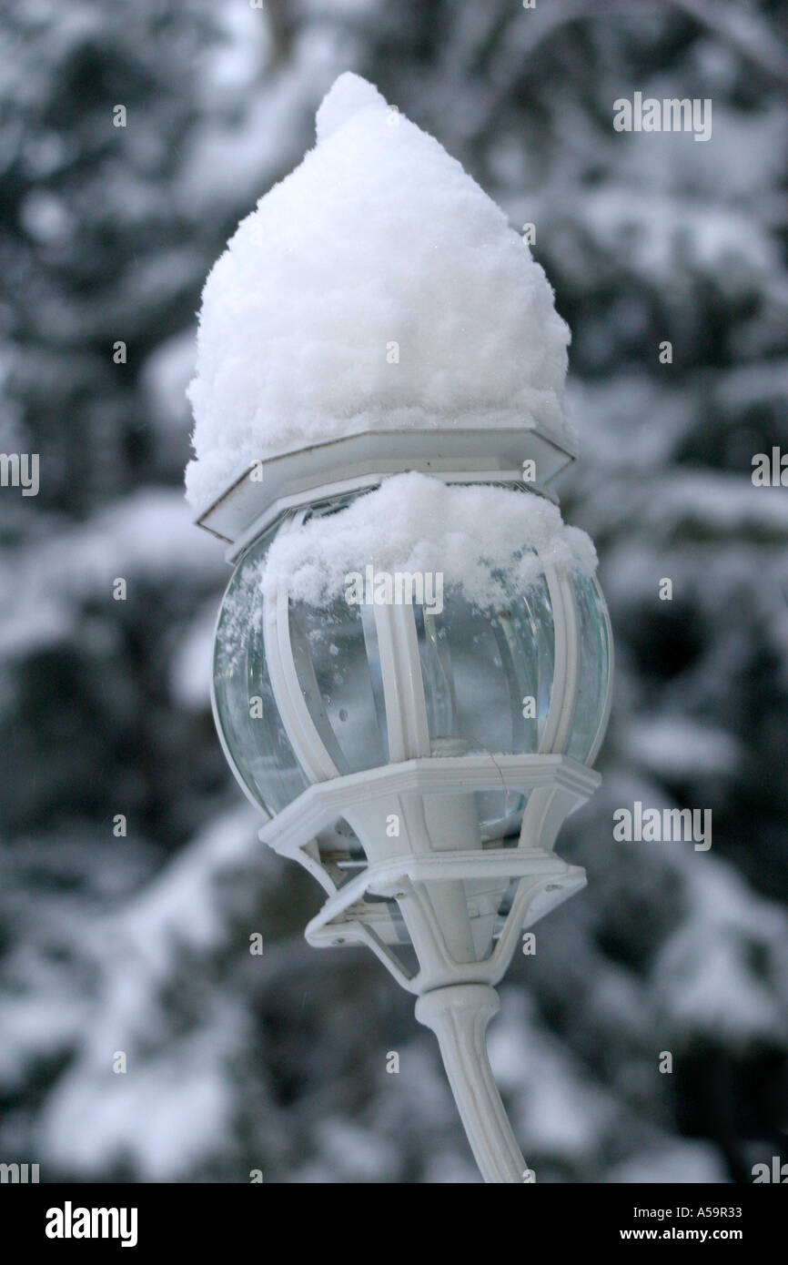 Snow laden trees bushes hi-res stock photography and images - Alamy
