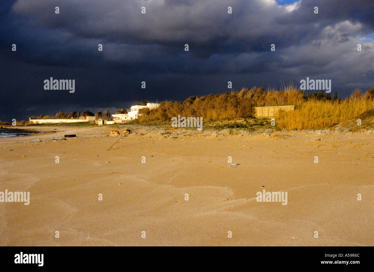 Storm over beach at Sour Southern Lebanon Stock Photo - Alamy