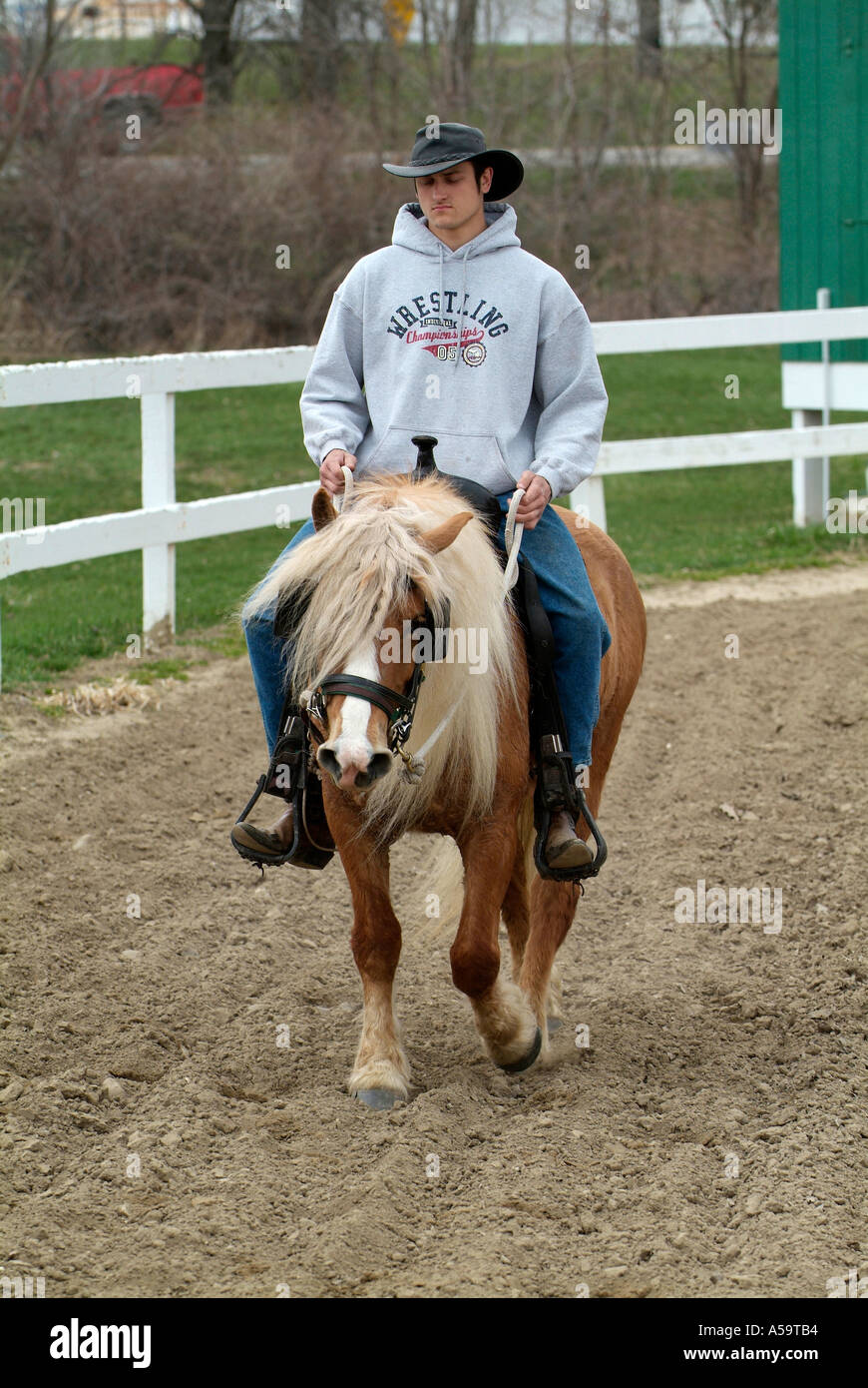 Adult male riding a horse for pleasure Stock Photo - Alamy