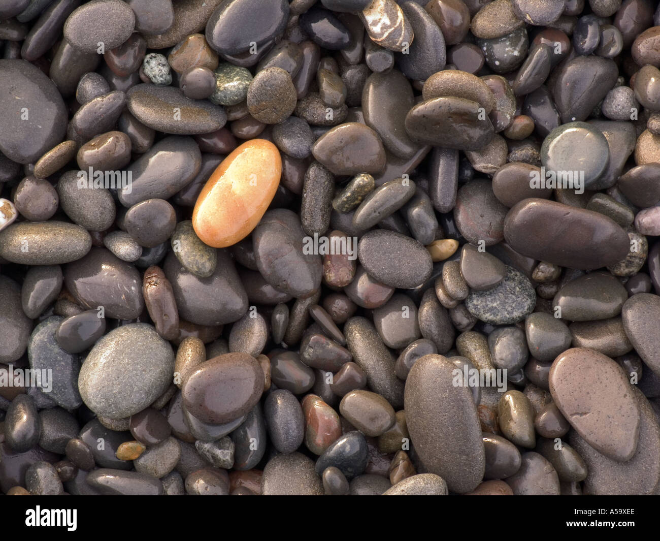 Olympic park oval hi-res stock photography and images - Alamy