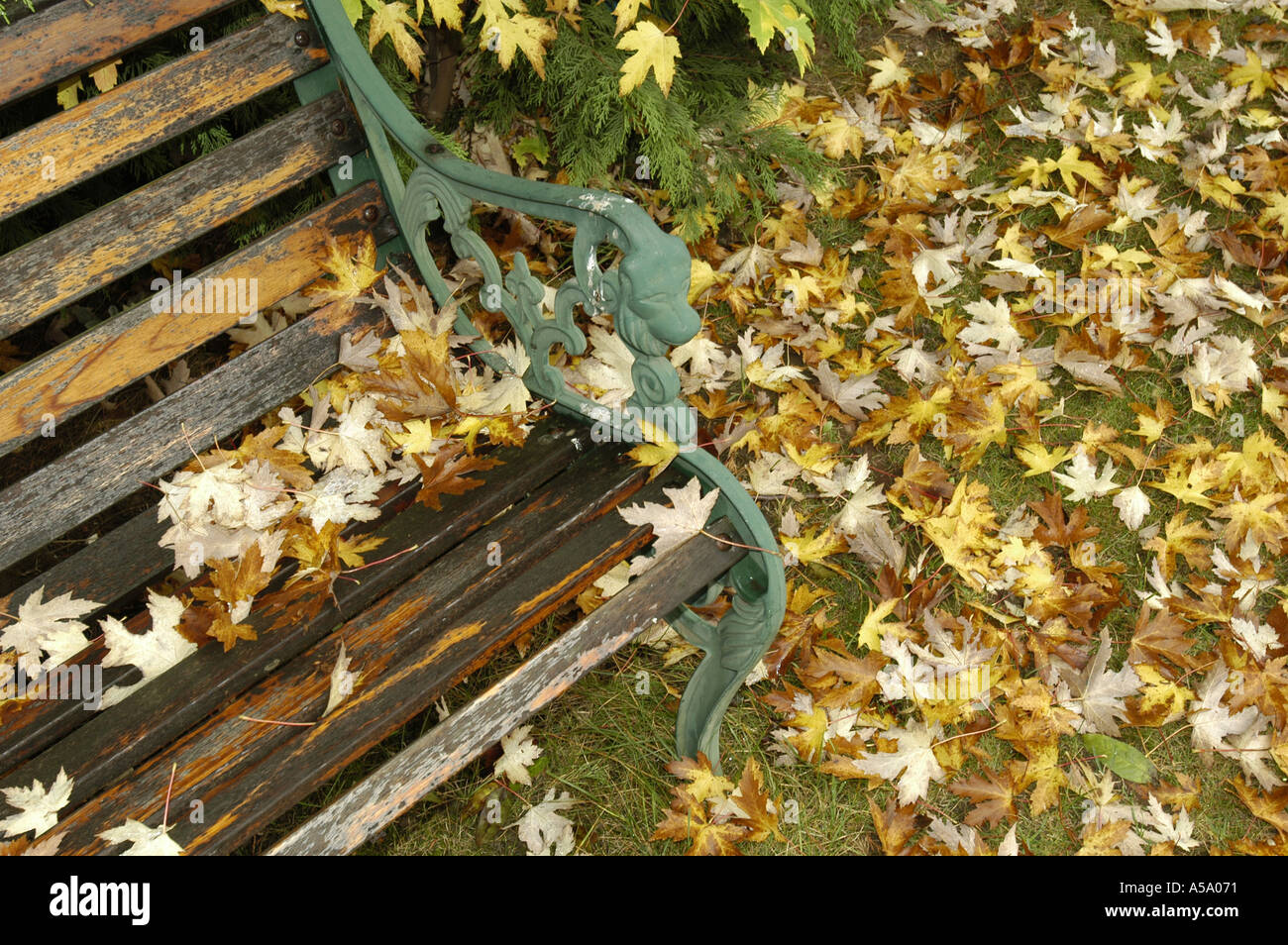 Autumn leaves Bench Stock Photo - Alamy