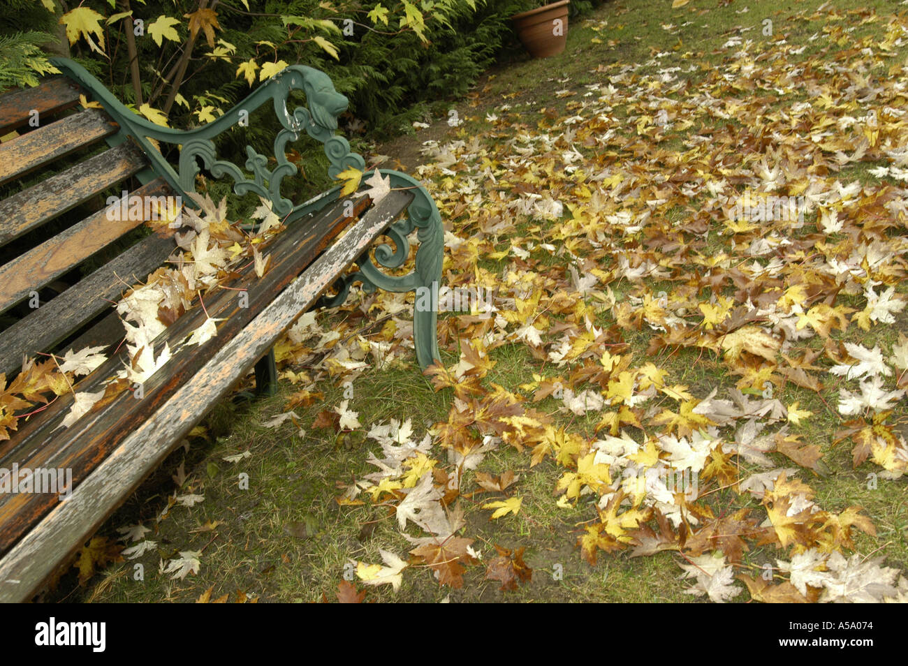 Autumn leaves Bench Stock Photo - Alamy