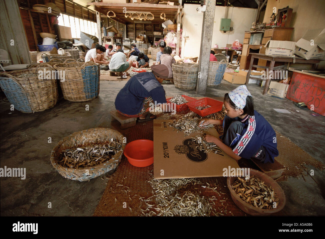 Tradition sorting working hi-res stock photography and images - Alamy