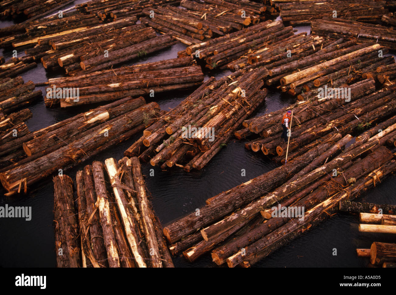 Forester hi-res stock photography and images - Alamy