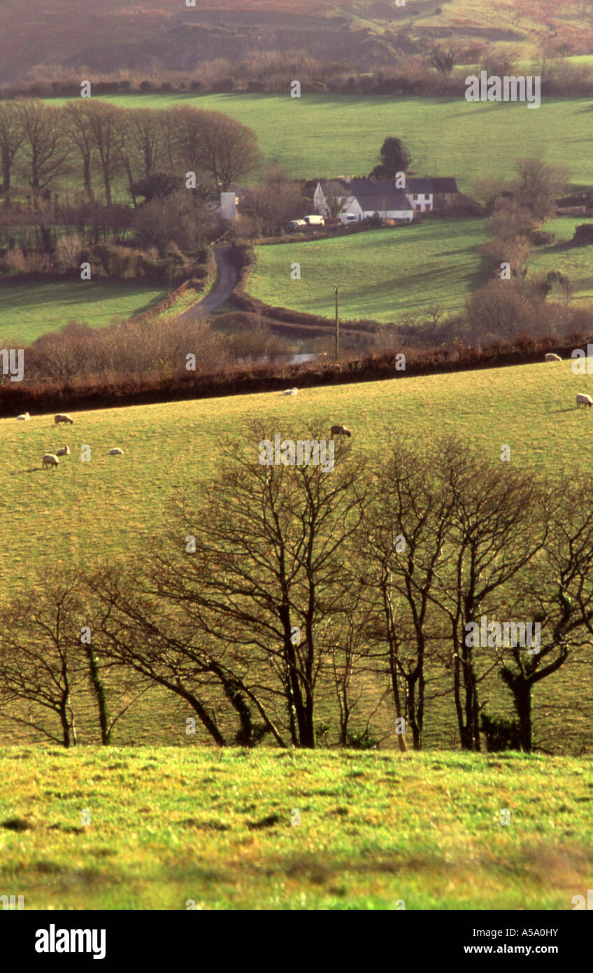 Farmland at Peter Tavy Dartmoor Devon UK Stock Photo - Alamy